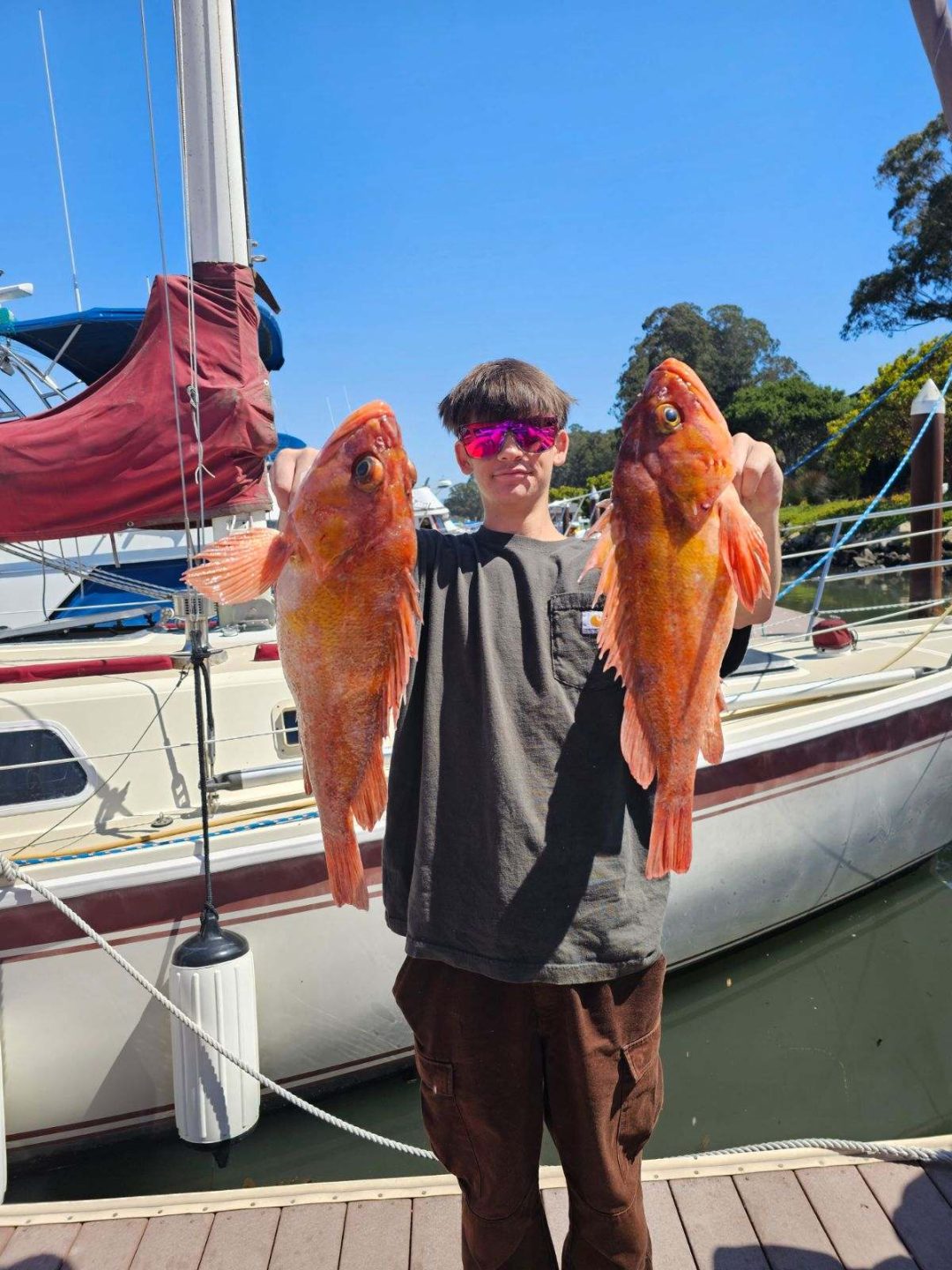 Fishing Report - Go Fish Santa Cruz Charters